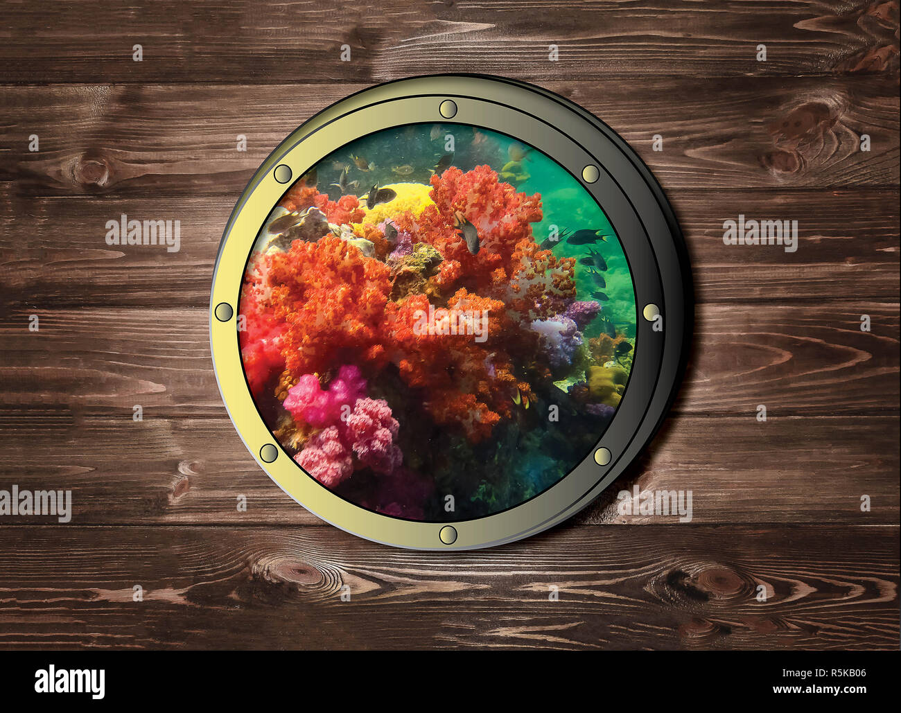 The ship window with colorful coral reef in tropical sea, underwater at ...