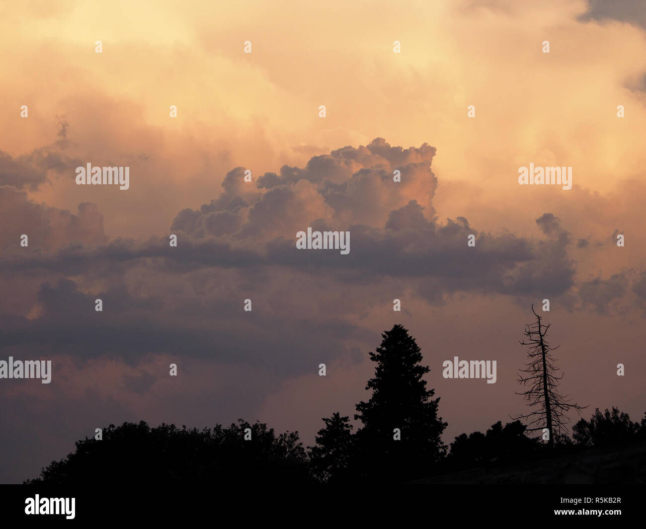towering dense cumulo-nimbus clouds ('The King of Clouds') bringing ...