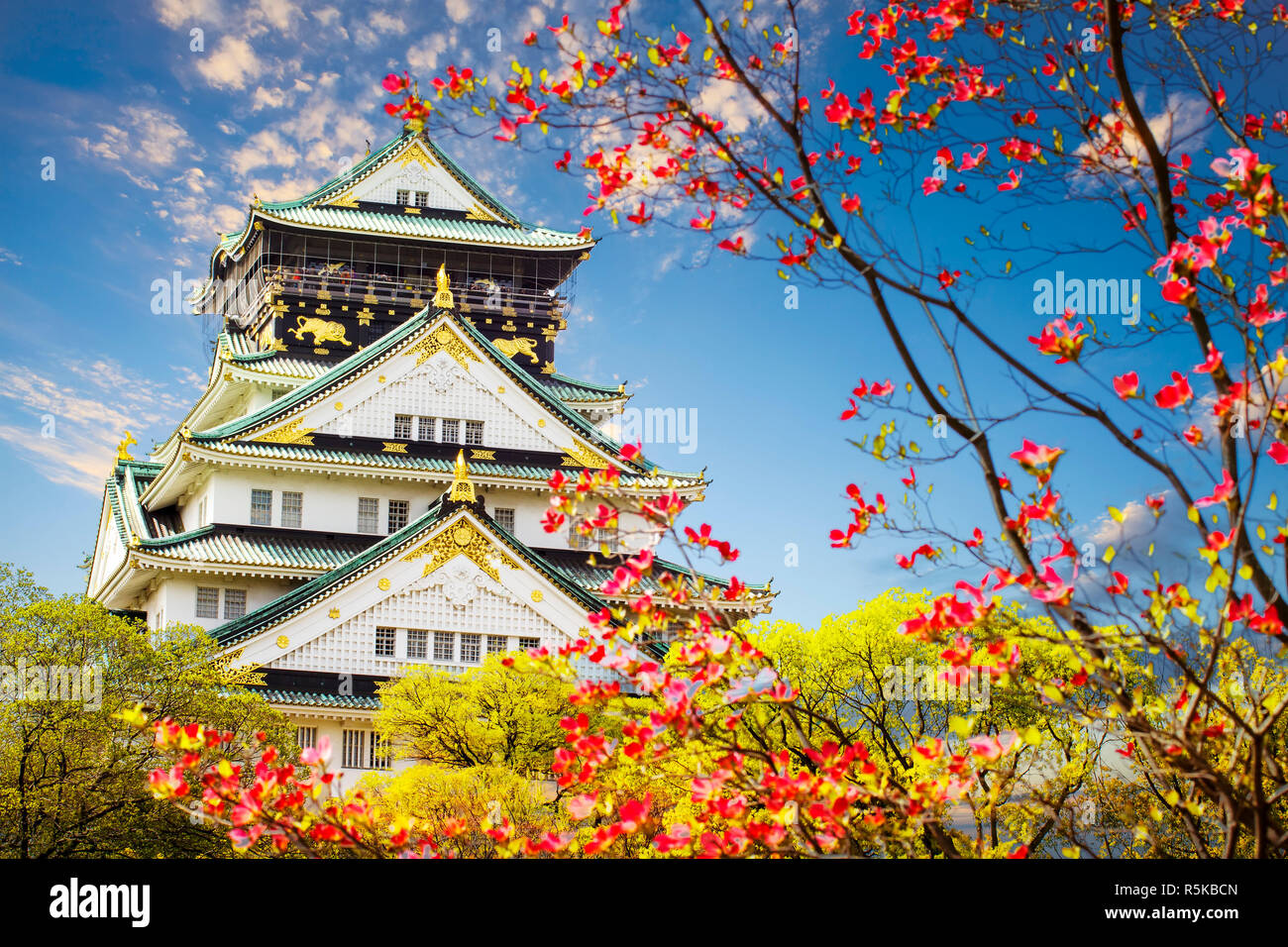 beautiful Osaka Castle in Osaka with nice background, Japan Stock Photo ...