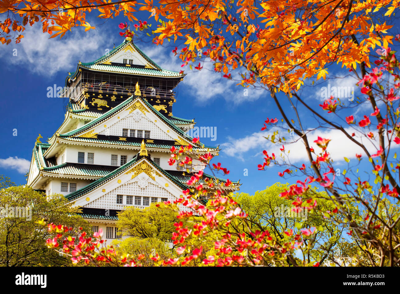 beautiful Osaka Castle in Osaka with nice background, Japan Stock Photo ...