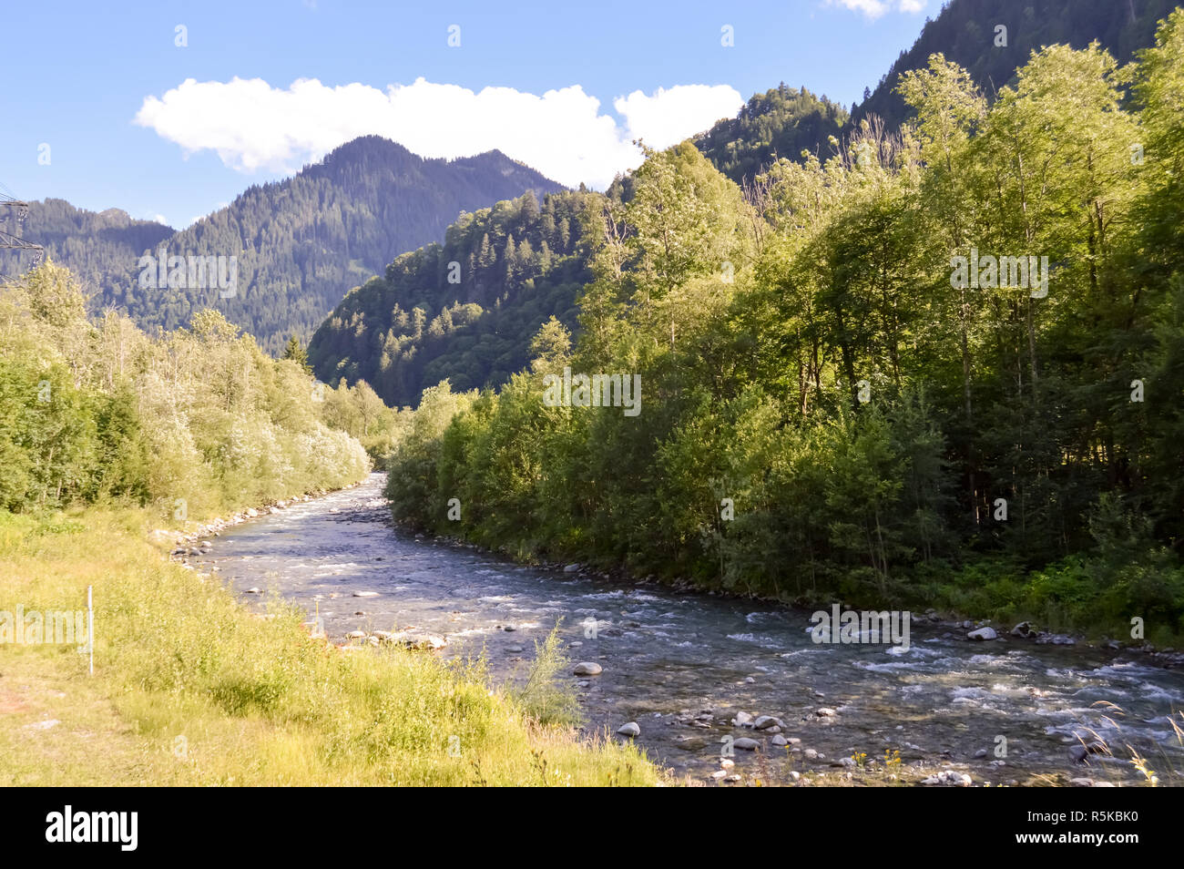 River crossing the forest Stock Photo - Alamy