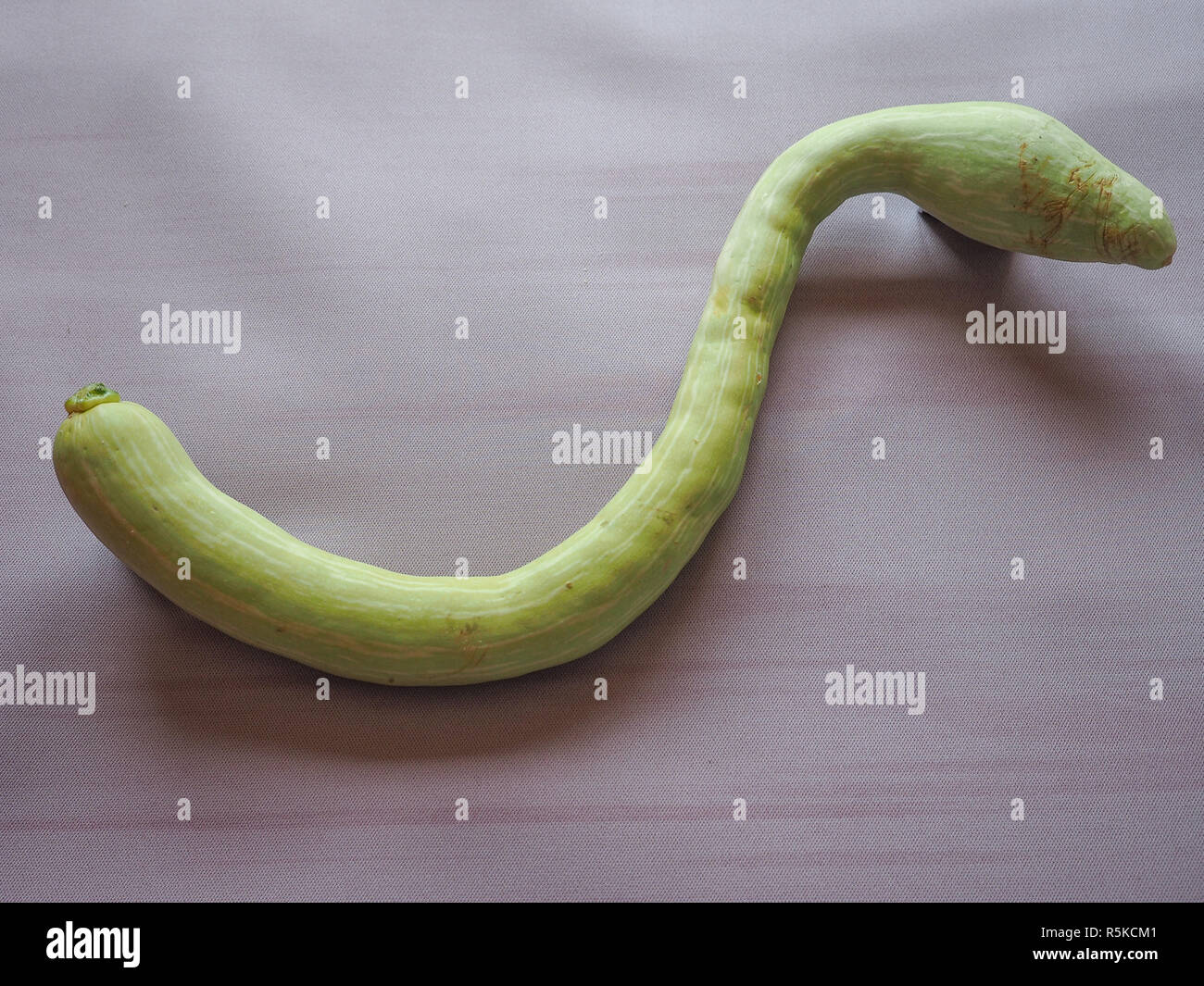 Courgette shaped hi-res stock photography and images - Alamy
