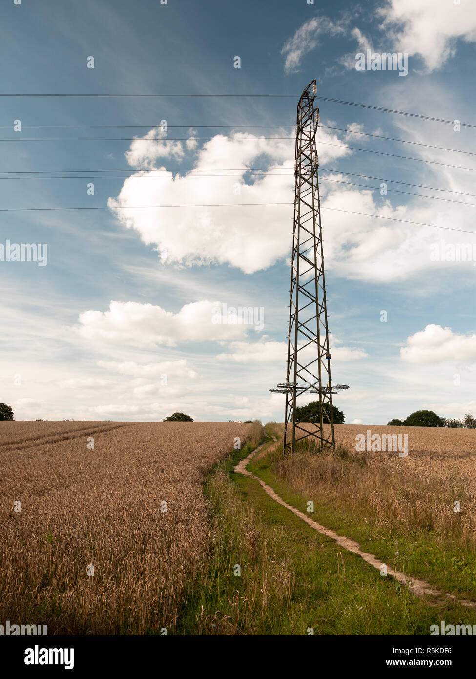 landscape scene of pylon in a wheat field in the country farm Stock ...