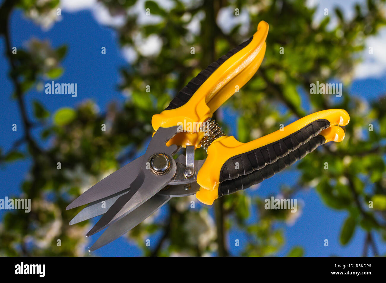 new garden scissors Stock Photo - Alamy