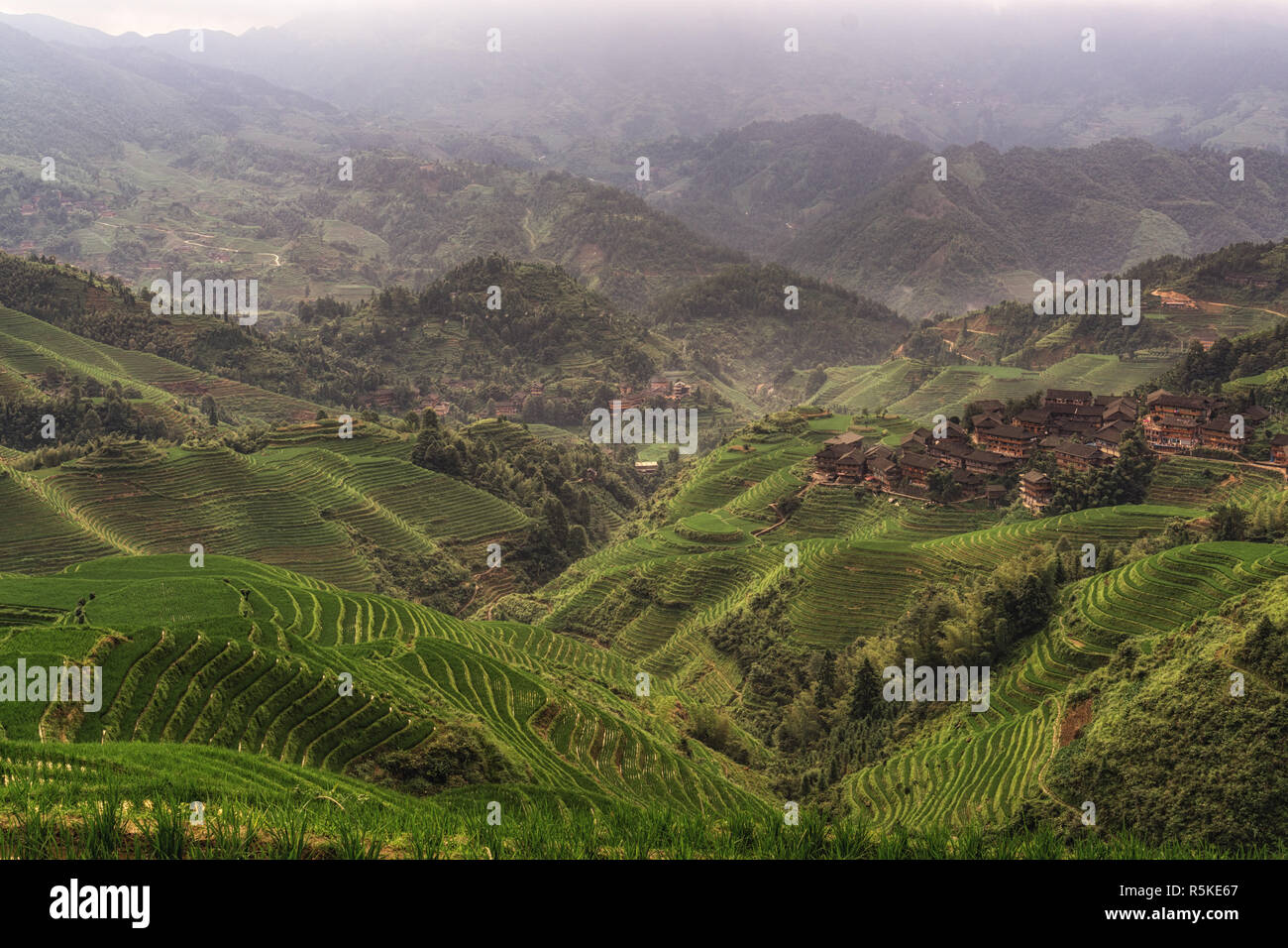 Longji farming community hi-res stock photography and images - Alamy