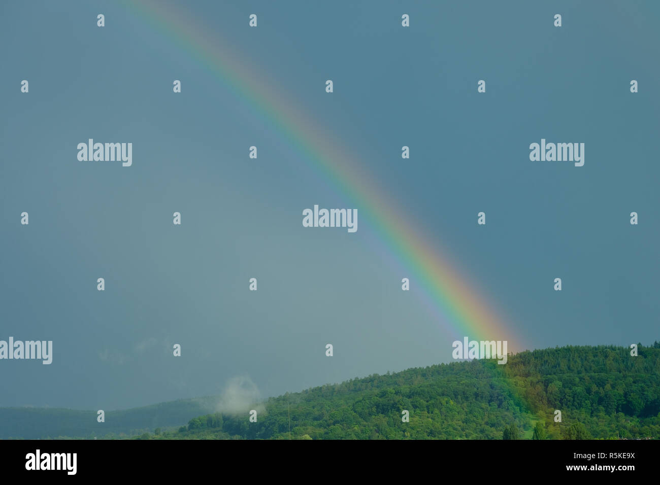 Doc_type hi-res stock photography and images - Alamy