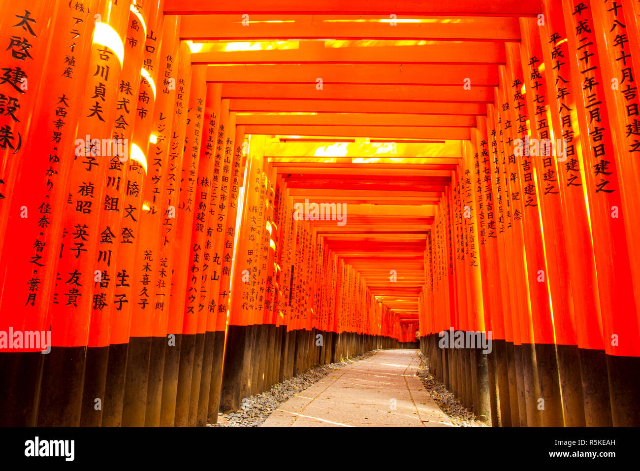 beautiful orange color temple at Kyoto, Japan Stock Photo - Alamy