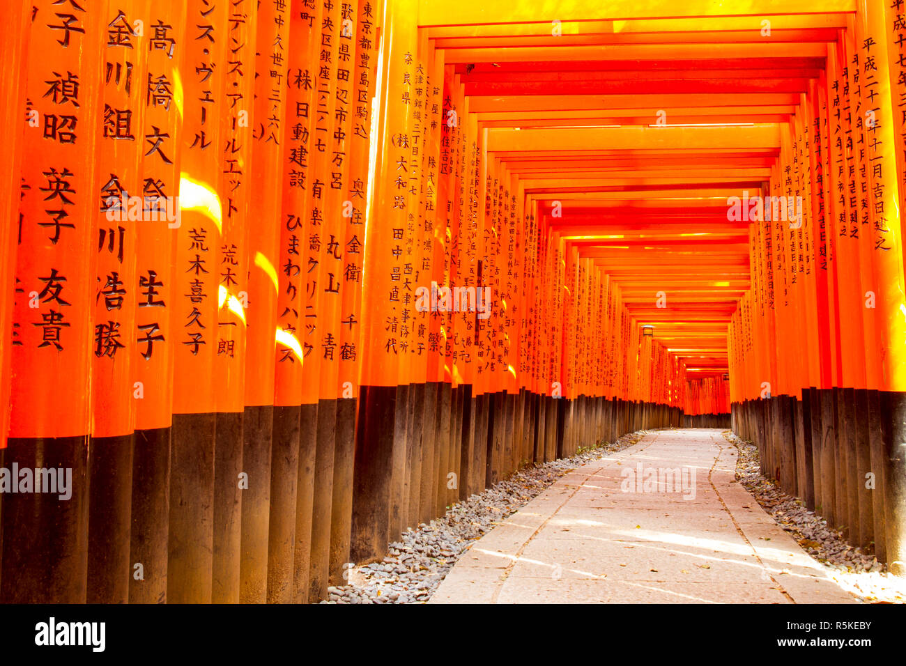 beautiful orange color temple at Kyoto, Japan Stock Photo - Alamy