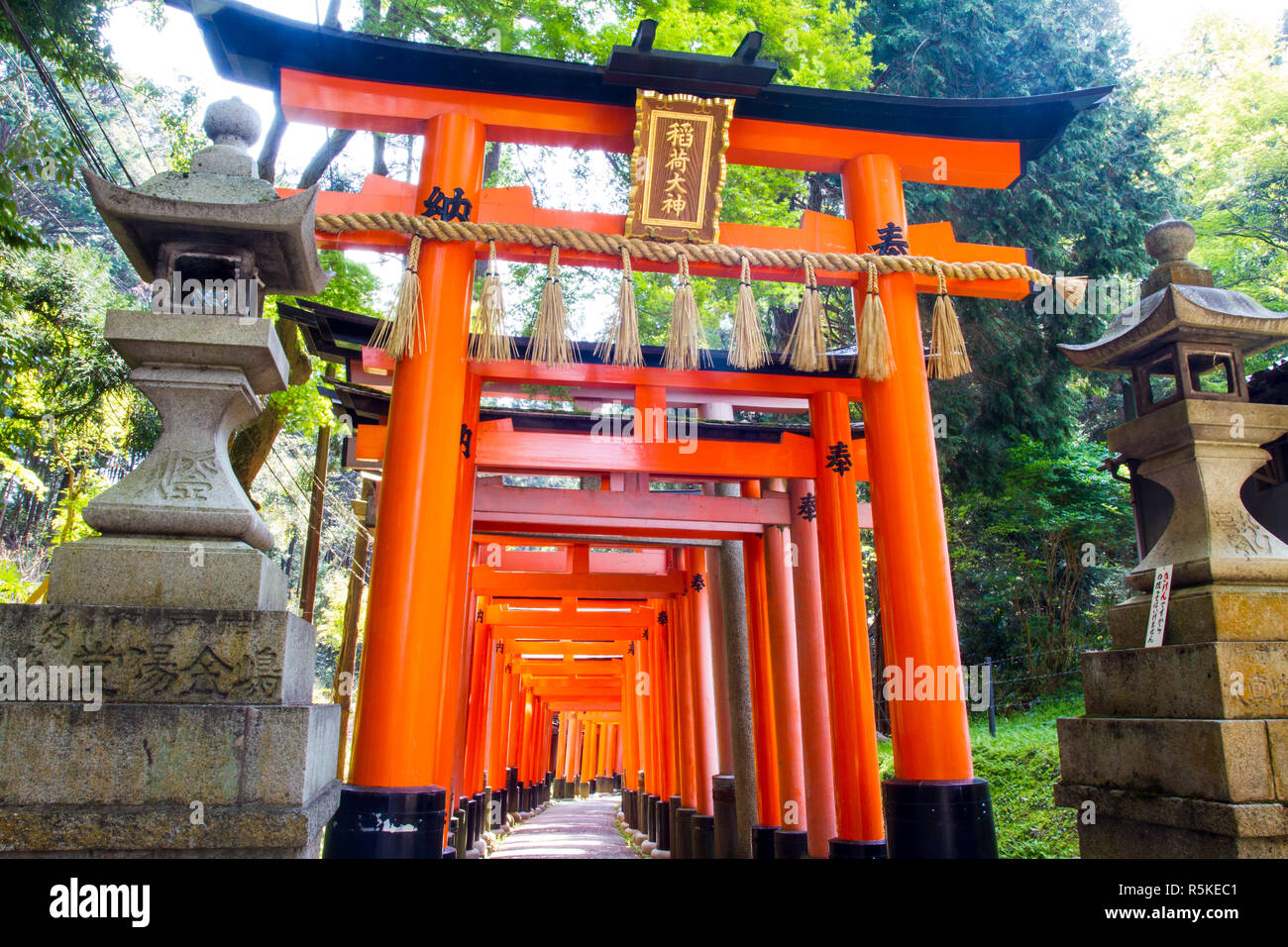 beautiful orange color temple at Kyoto, Japan Stock Photo - Alamy