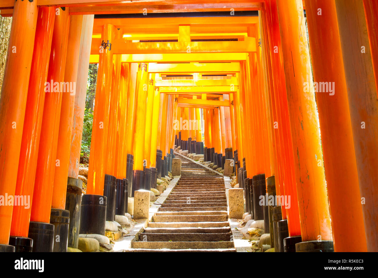 beautiful orange color temple at Kyoto, Japan Stock Photo - Alamy