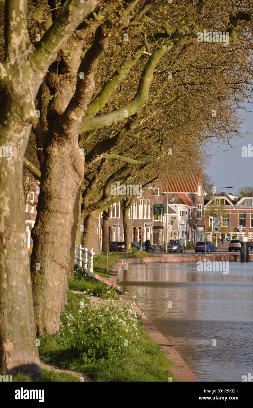 Goal holland sport hi-res stock photography and images - Alamy
