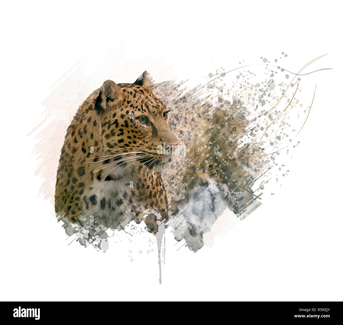 Leopard Portrait watercolor Stock Photo - Alamy