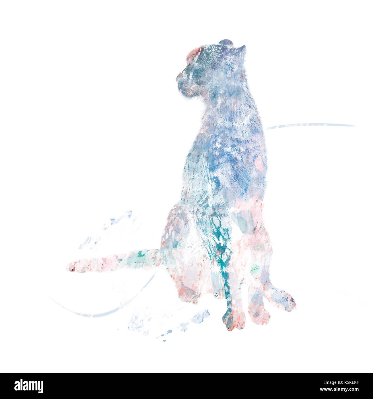 Cheetah sitting watercolor Stock Photo - Alamy