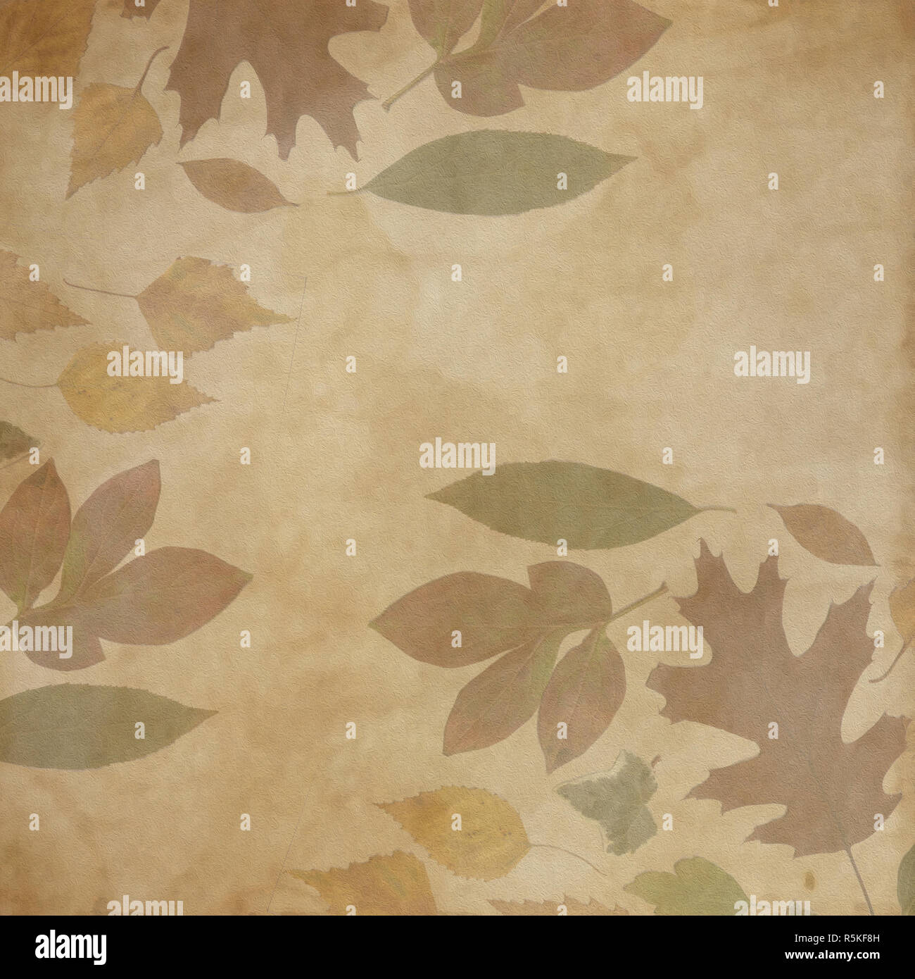 Sepia leaves hi-res stock photography and images - Alamy
