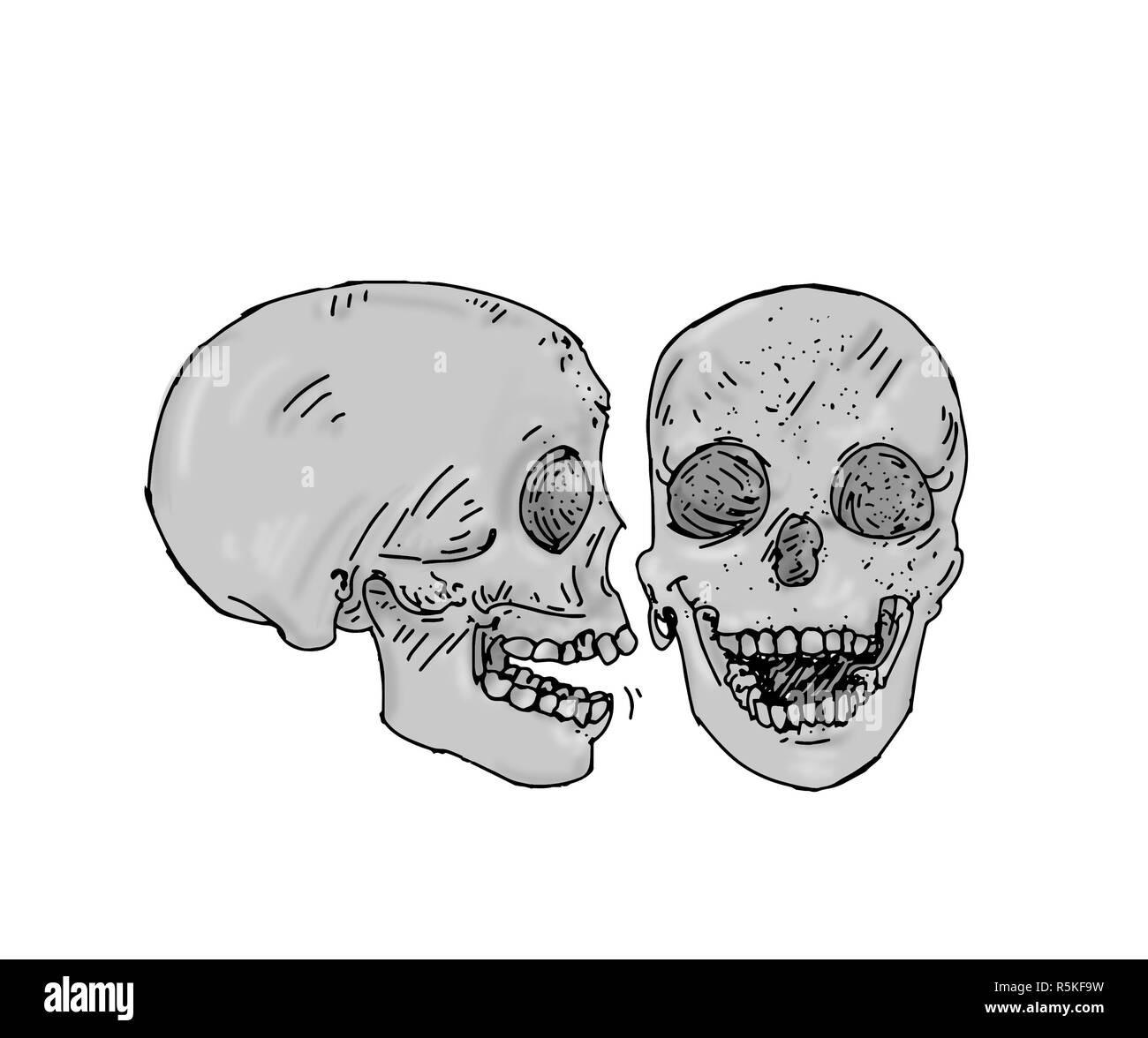 two gray skulls and one in front of human bones Stock Photo - Alamy