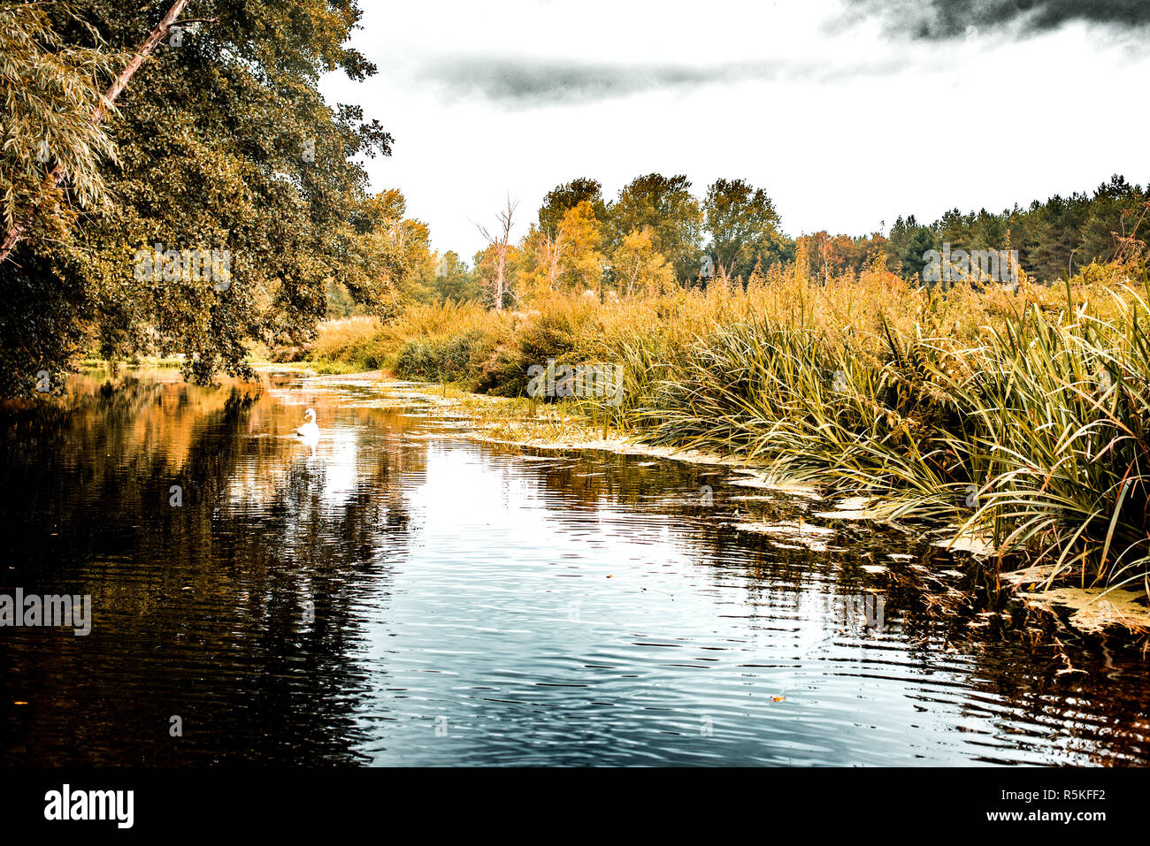 A river runs through it Stock Photo - Alamy