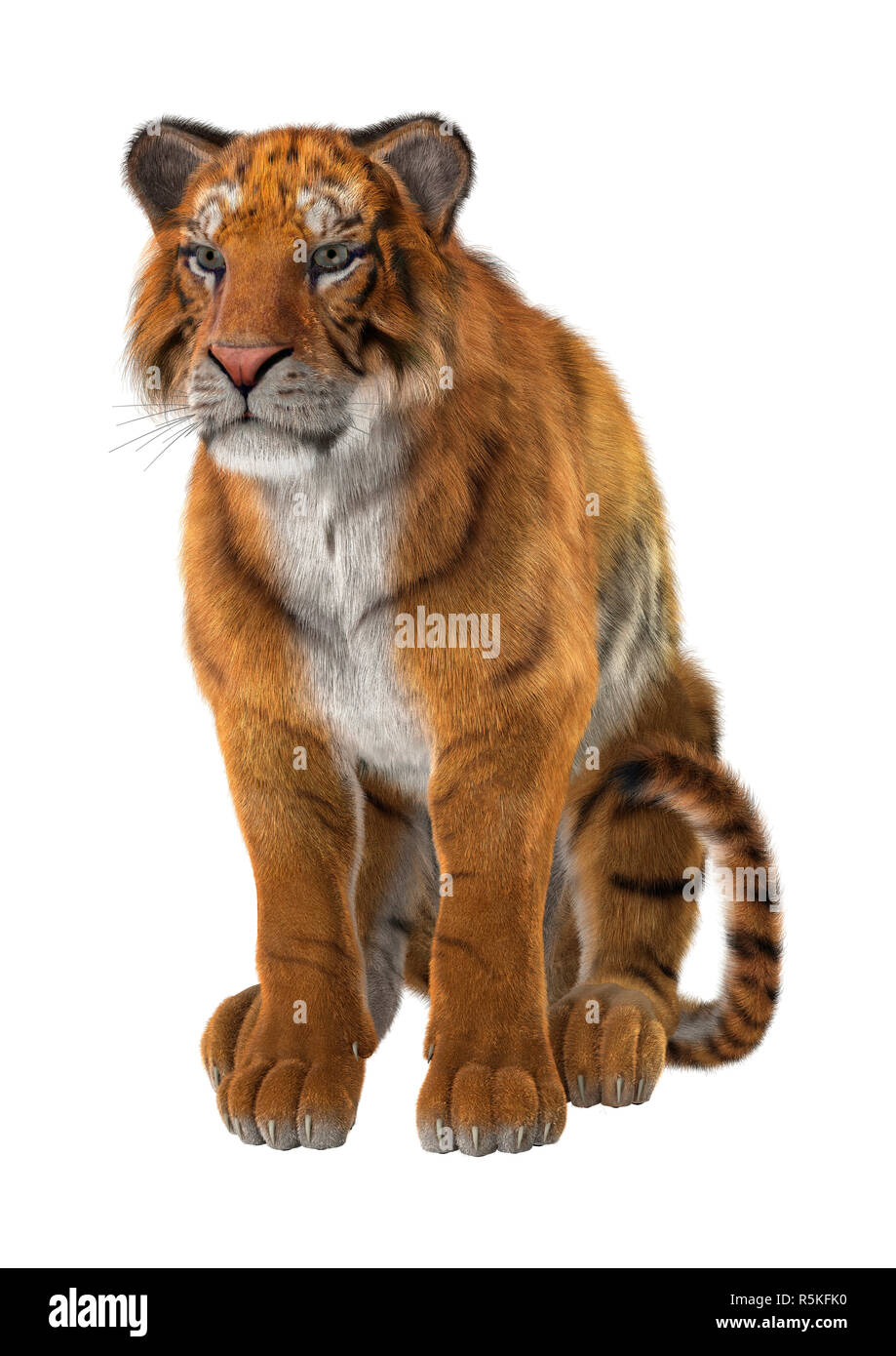 3D Rendering Big Cat Tiger on White Stock Photo - Alamy