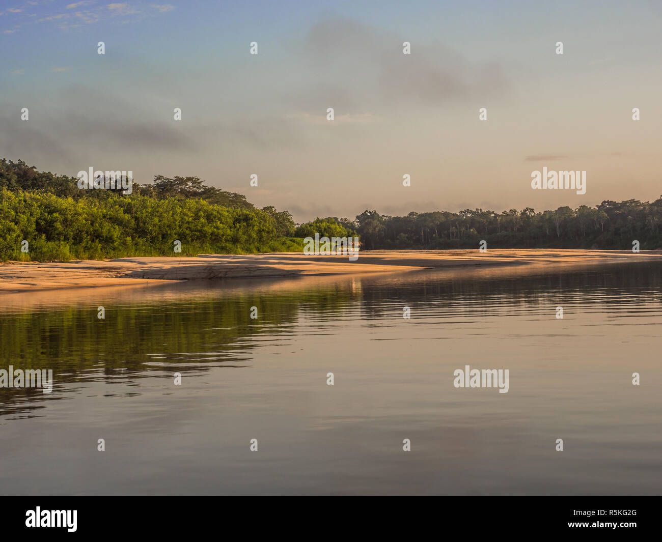 Beautiful sandy beach in Amazon jungle, during the low water season ...