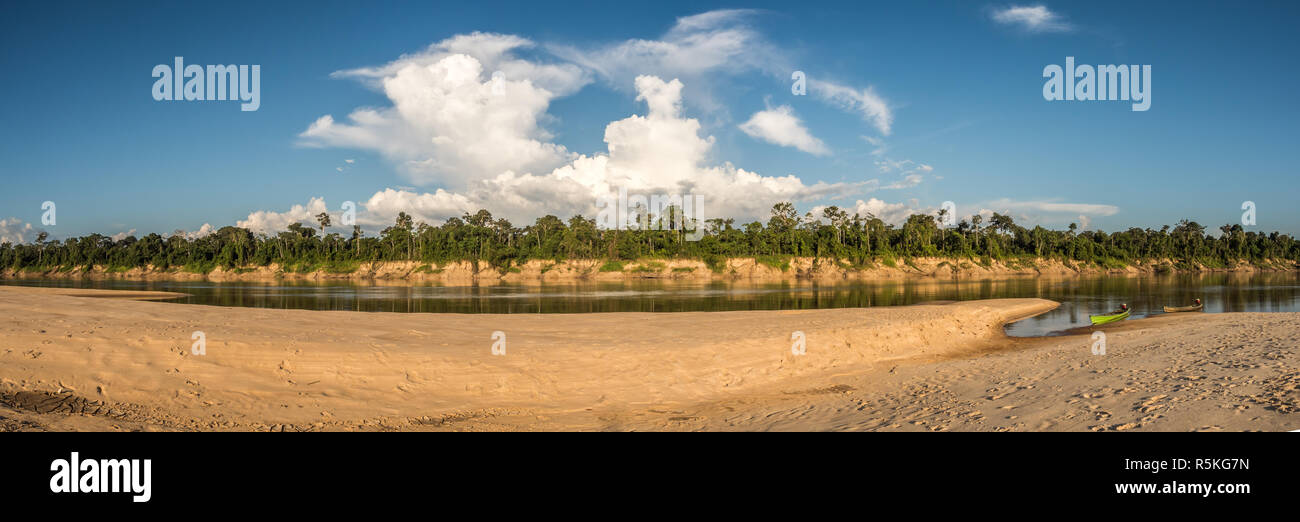 Beautiful sandy beach in Amazon jungle, during the low water season ...