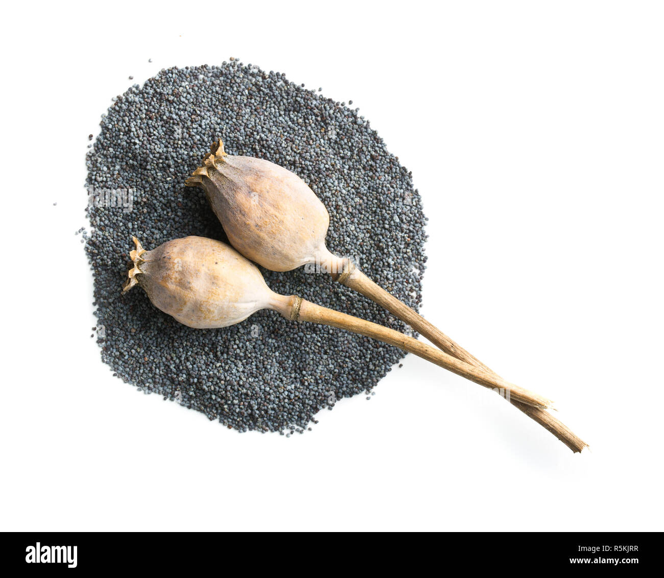 Dried poppy heads and seeds Stock Photo - Alamy