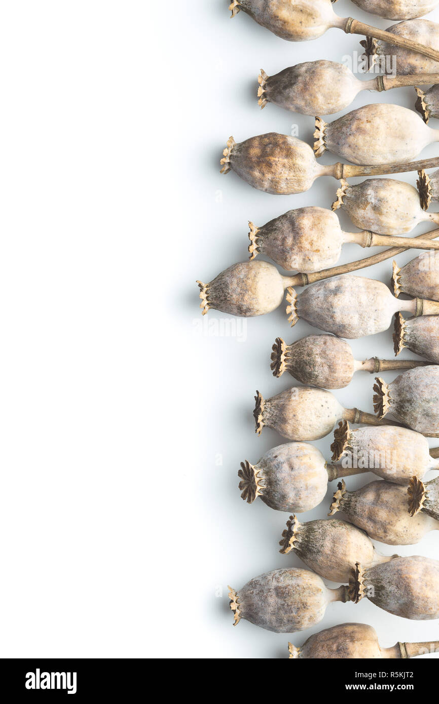 Dried poppy seed heads closeup hi-res stock photography and images - Alamy
