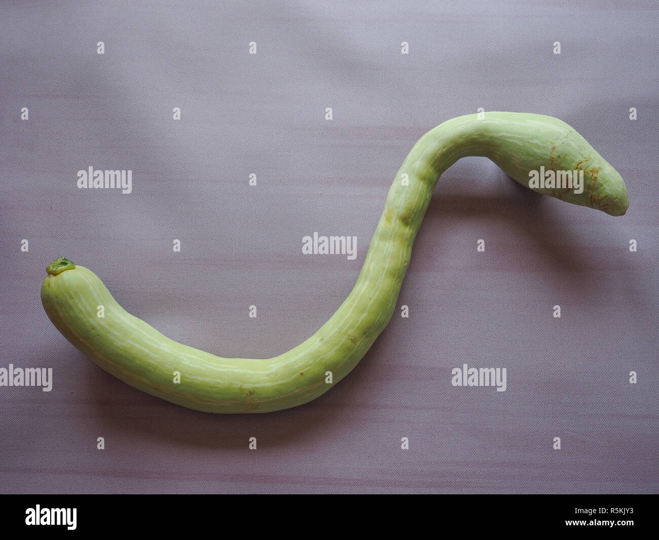 Snake Shape High Resolution Stock Photography and Images - Alamy