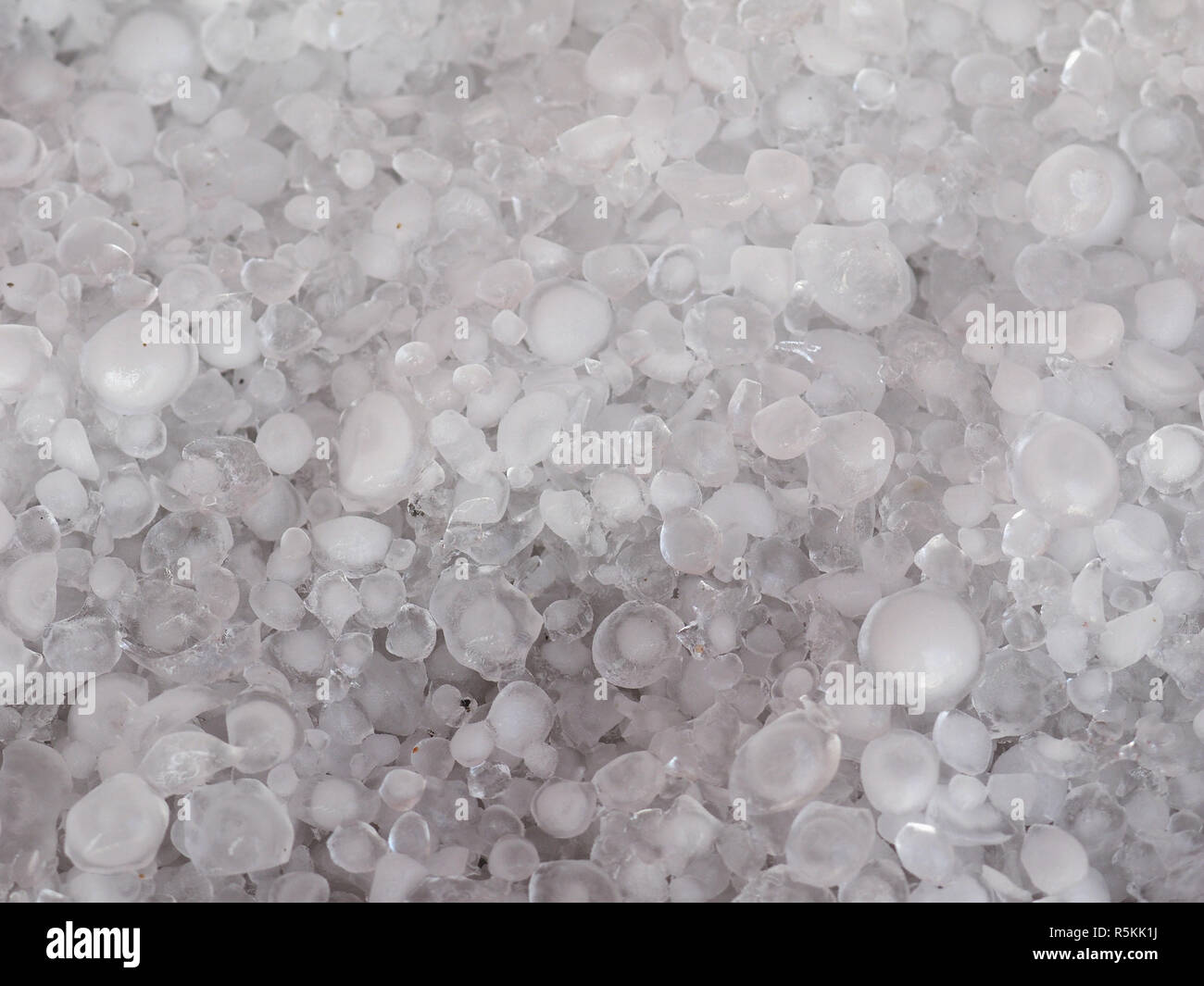 Large grains of hail hi-res stock photography and images - Alamy