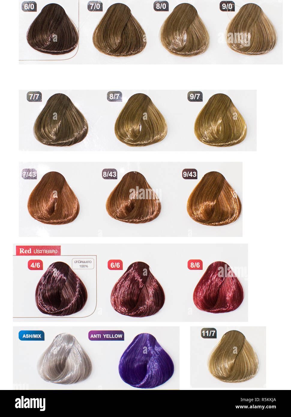 Hair color variation hi-res stock photography and images - Alamy