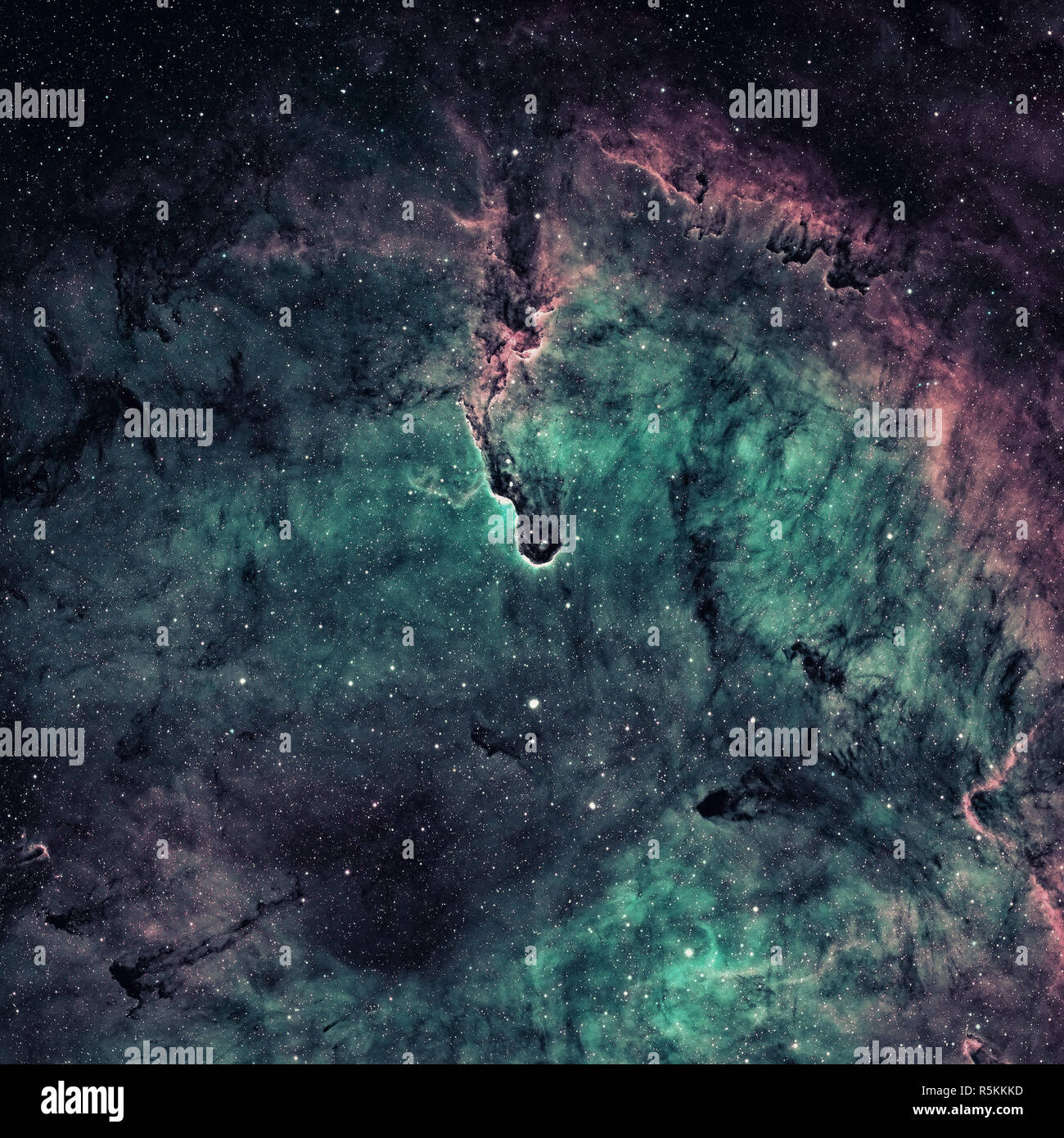 The Elephant's Trunk nebula in IC 1396. Constellation Cepheus Stock ...