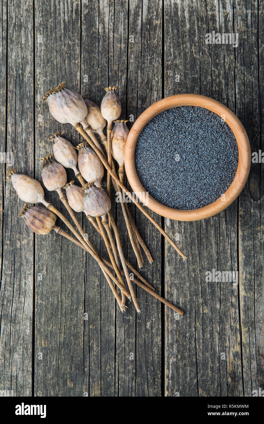 Dried poppy heads and seeds Stock Photo - Alamy