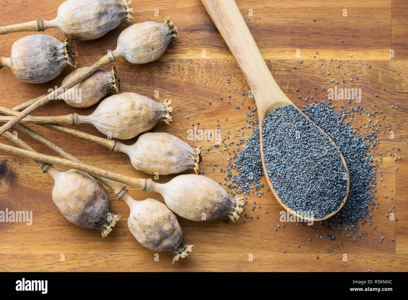 Dried poppy heads and seeds Stock Photo - Alamy