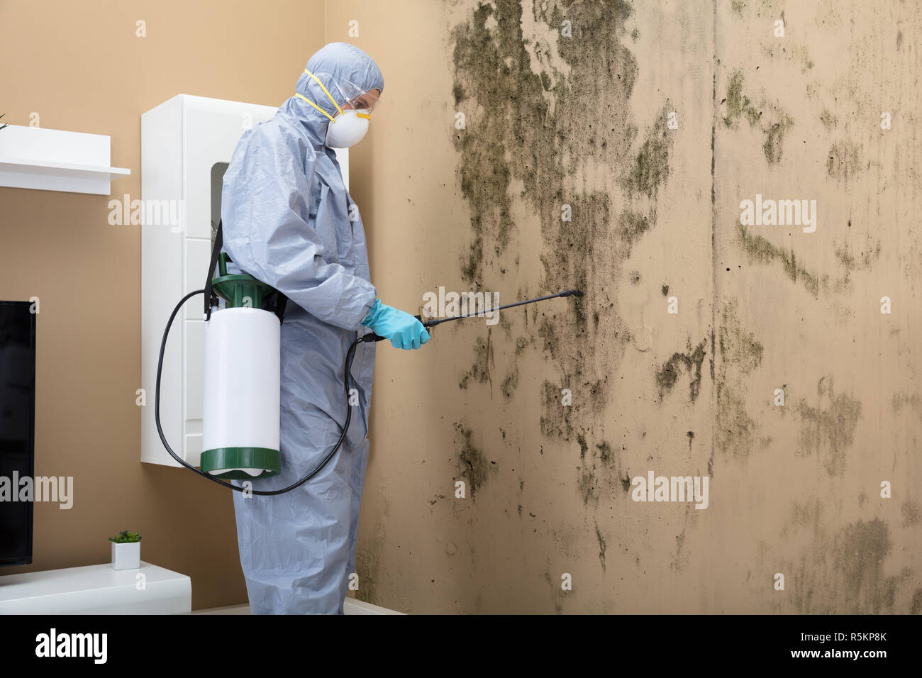 Pest Control Worker Spraying Pesticide On Wall Stock Photo - Alamy