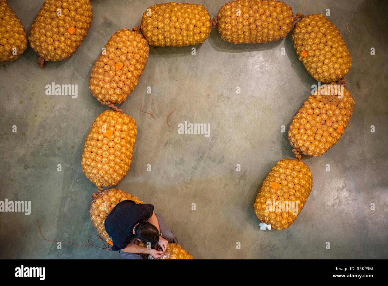 Museum assistant does the final preparation of elements of an art ...