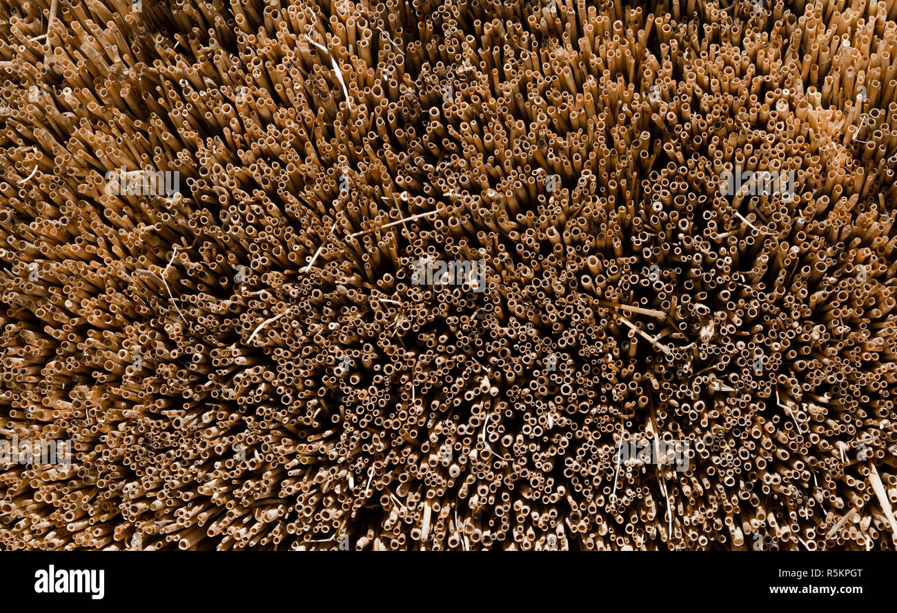 Texture, yellow thatched roof close up Stock Photo - Alamy