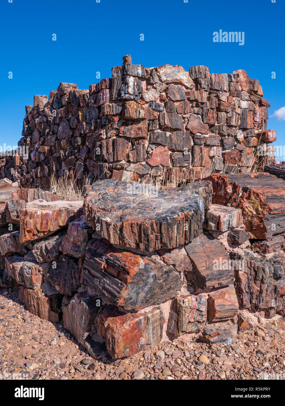 Agate House ruin, Long Log and Agate House Trails, Petrified Forest ...