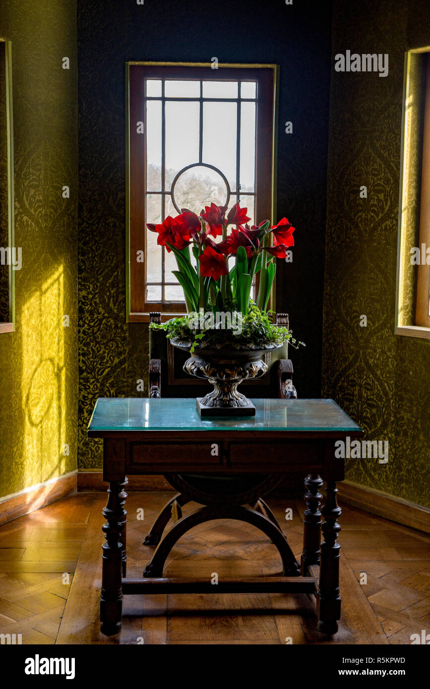 Still life of red flowers in a vase on an antique table in a sunlit ...