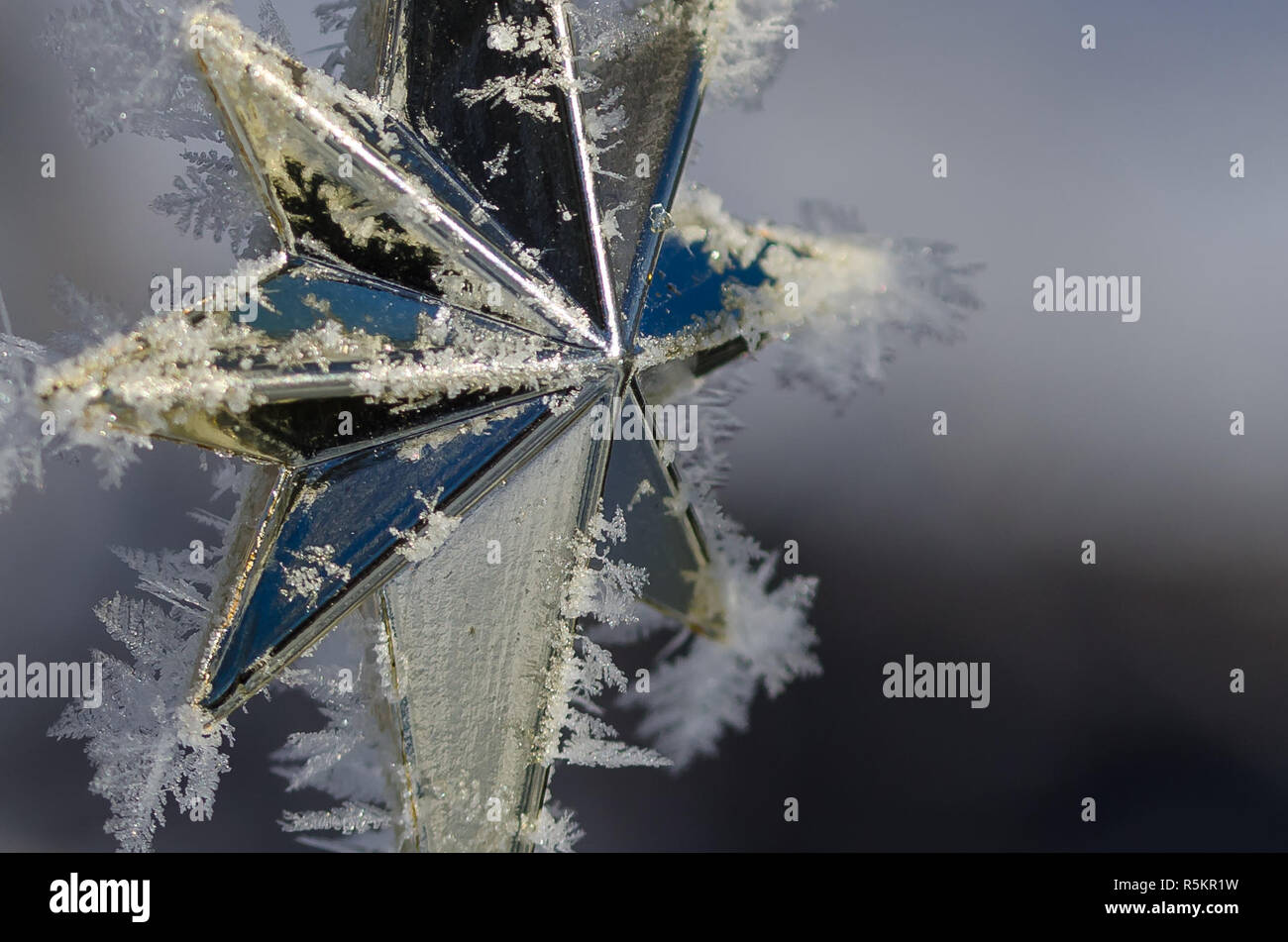 Frost gilded hi-res stock photography and images - Alamy