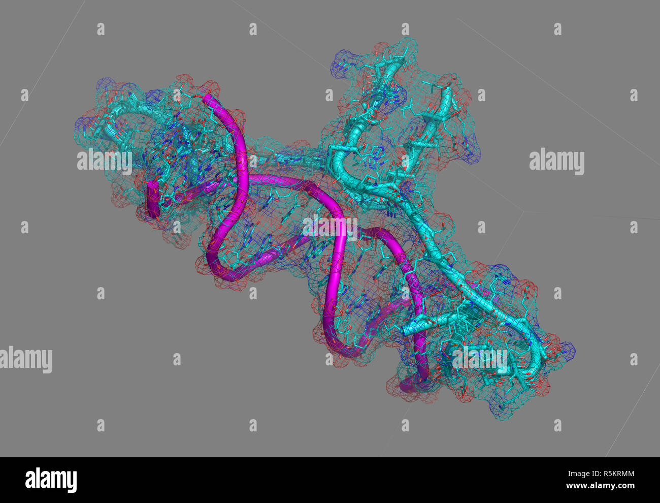 dna molecule model Stock Photo - Alamy