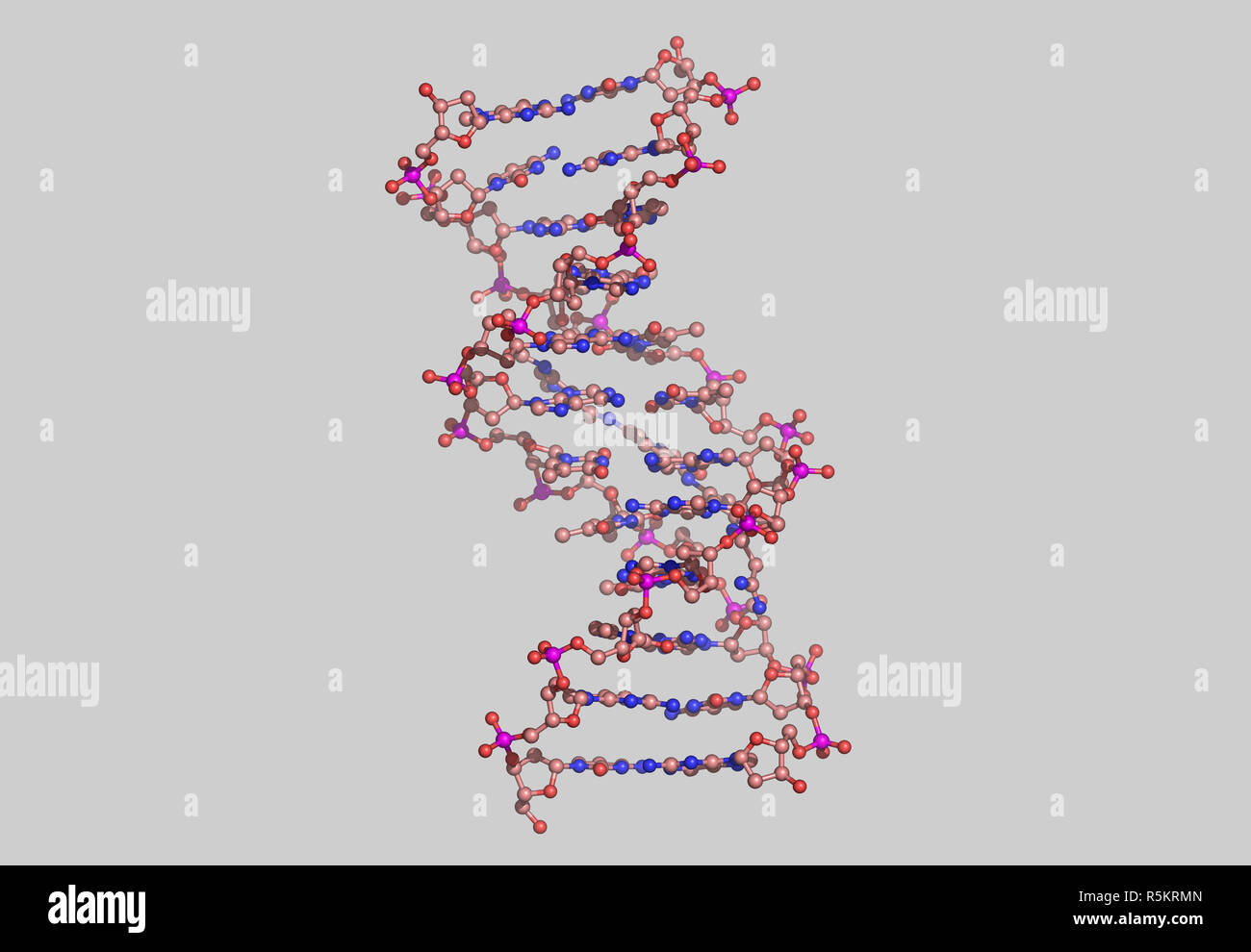 Nukleotide hi-res stock photography and images - Alamy