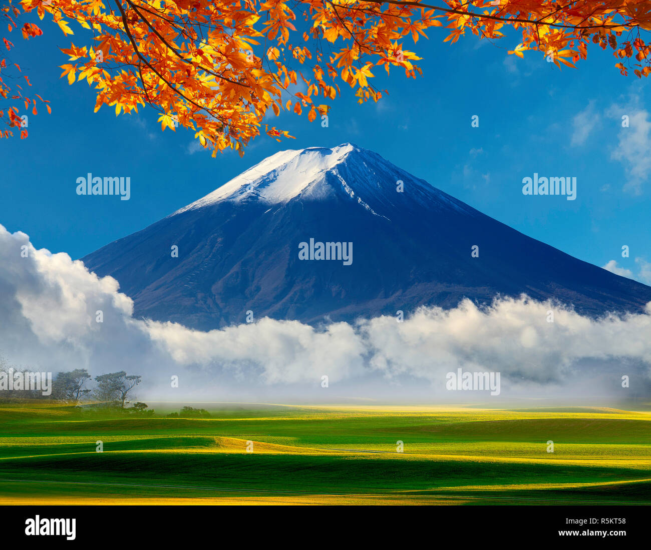 image of beautiful landscapes with very nice color and background Stock ...