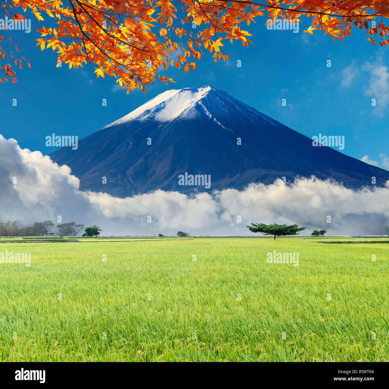 image of beautiful landscapes with very nice color and background Stock ...