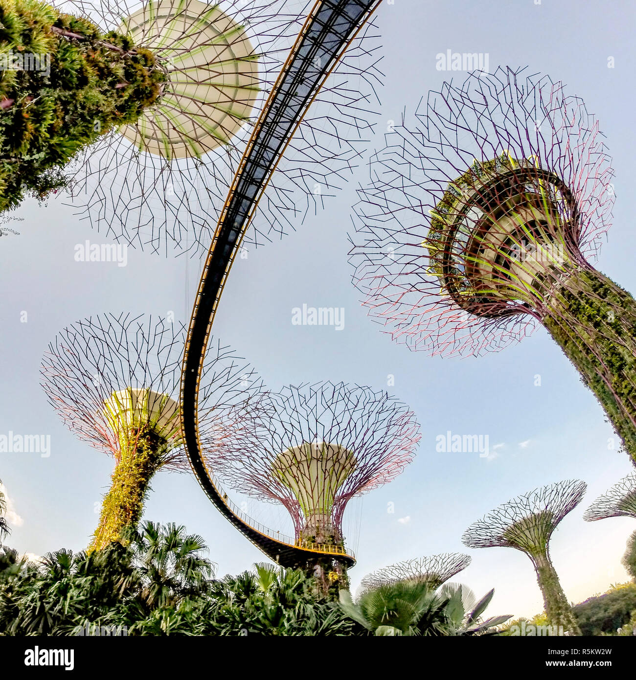 Singapore, Marina Bay, Gardens by the Bay, the elevated Skyway ...