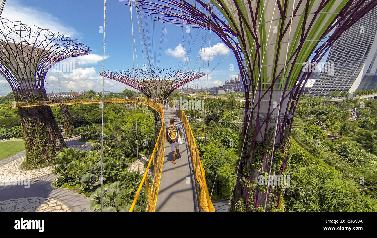 Supertrees supertree grove elevated walkway hi-res stock photography ...