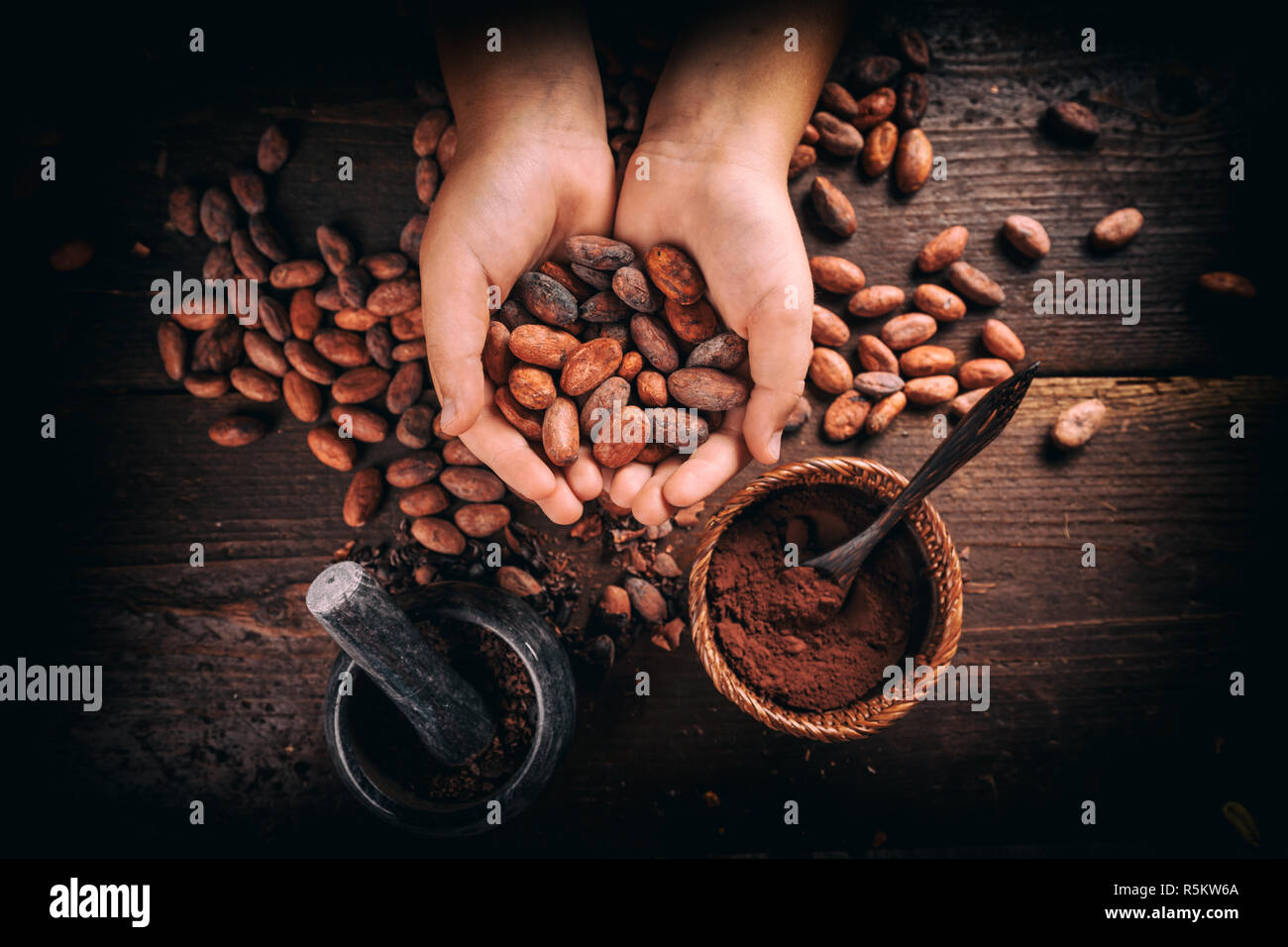 Hand holding cocoa beans Stock Photo - Alamy