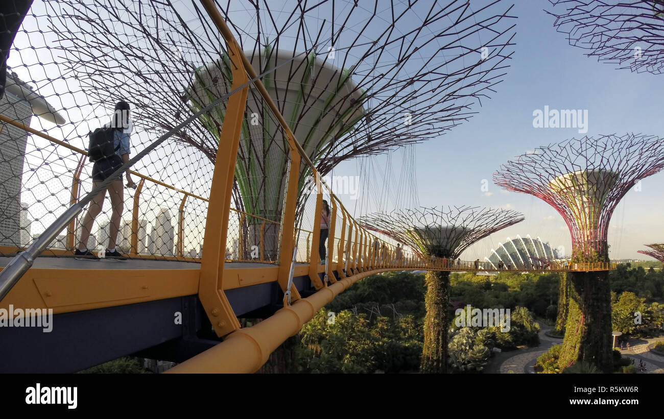 Singapore, Marina Bay, Gardens by the Bay, visitors enjoying the ...