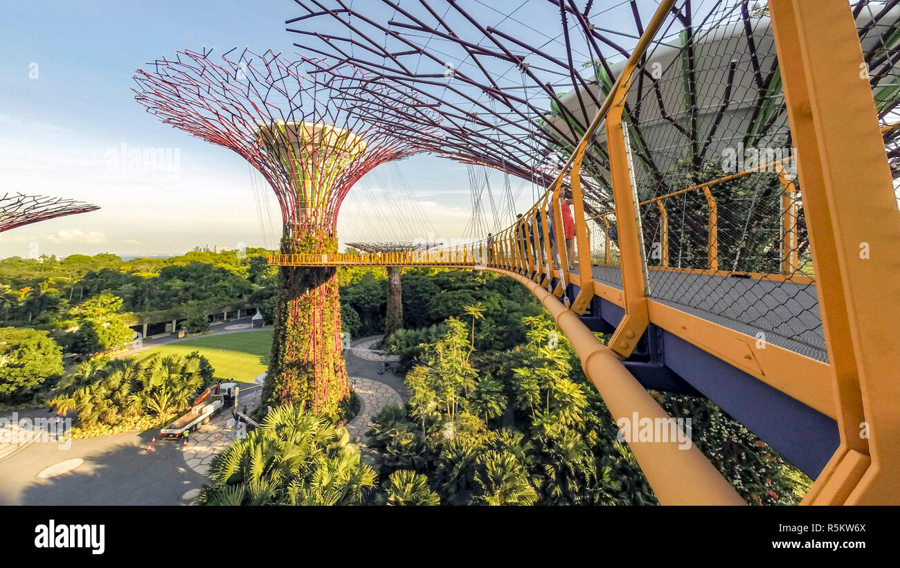 Singapore, Marina Bay, Gardens by the Bay, visitors enjoying the ...