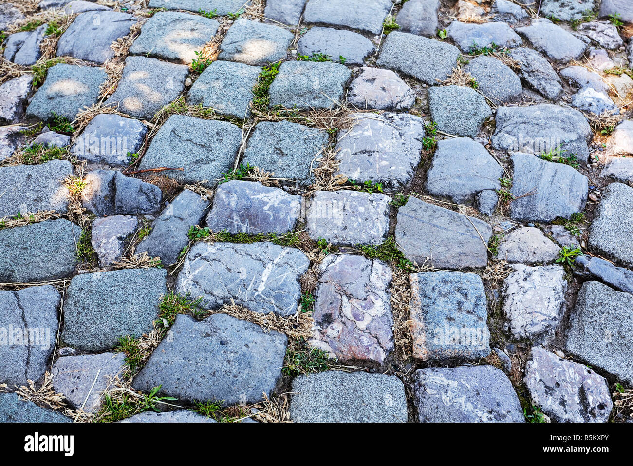 detail of cobblestone path Stock Photo - Alamy