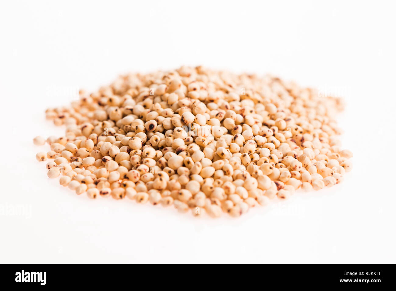 Chinese sorghum Cut Out Stock Images & Pictures - Alamy