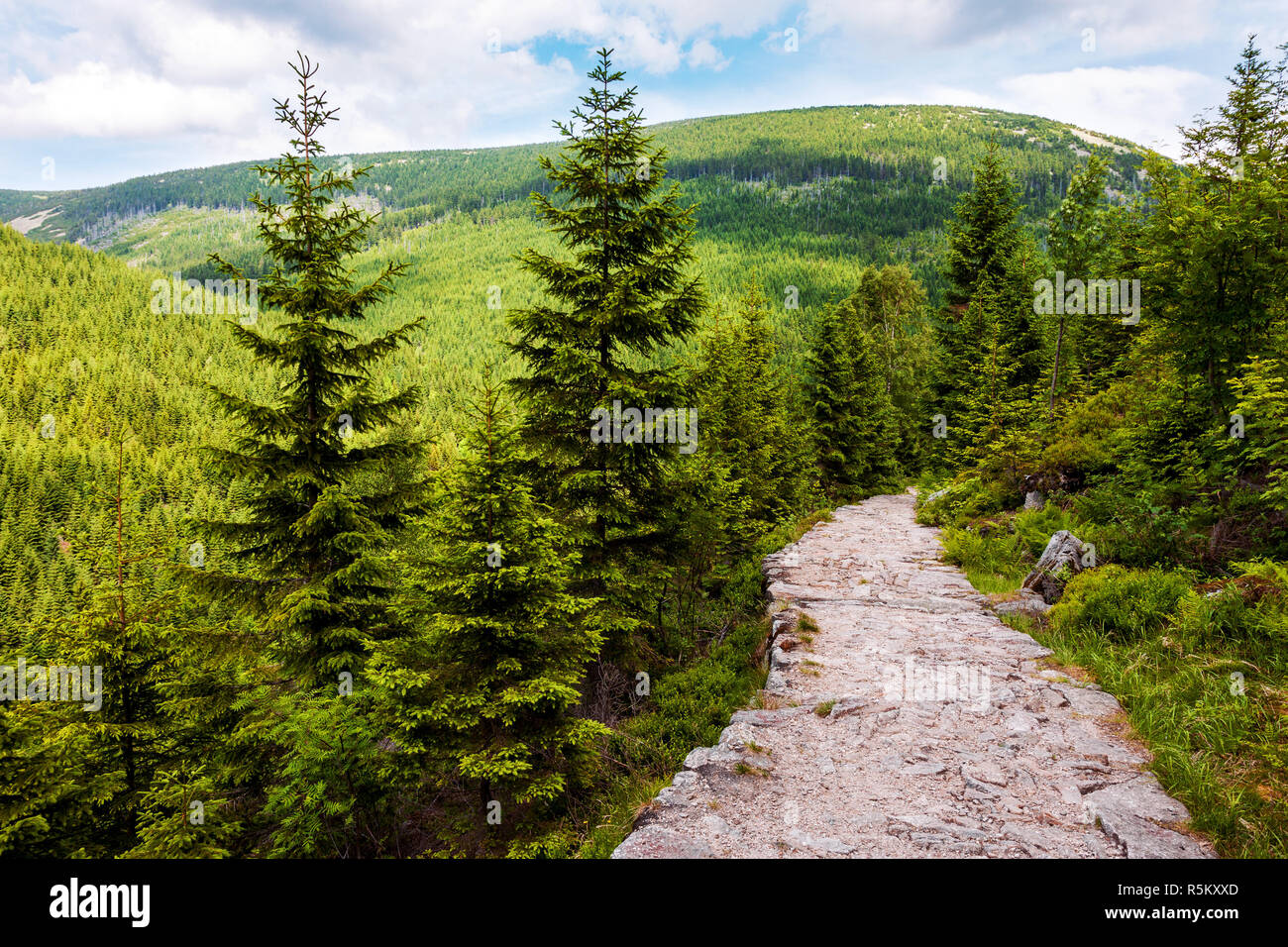 Empty gravel pathway hiking hi-res stock photography and images - Alamy