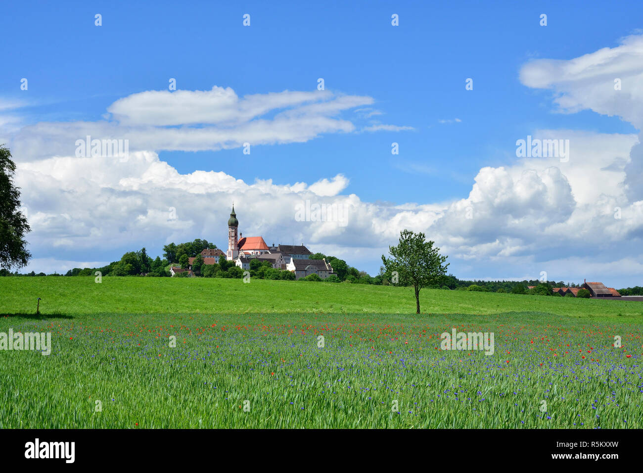 Erling andechs hi-res stock photography and images - Alamy